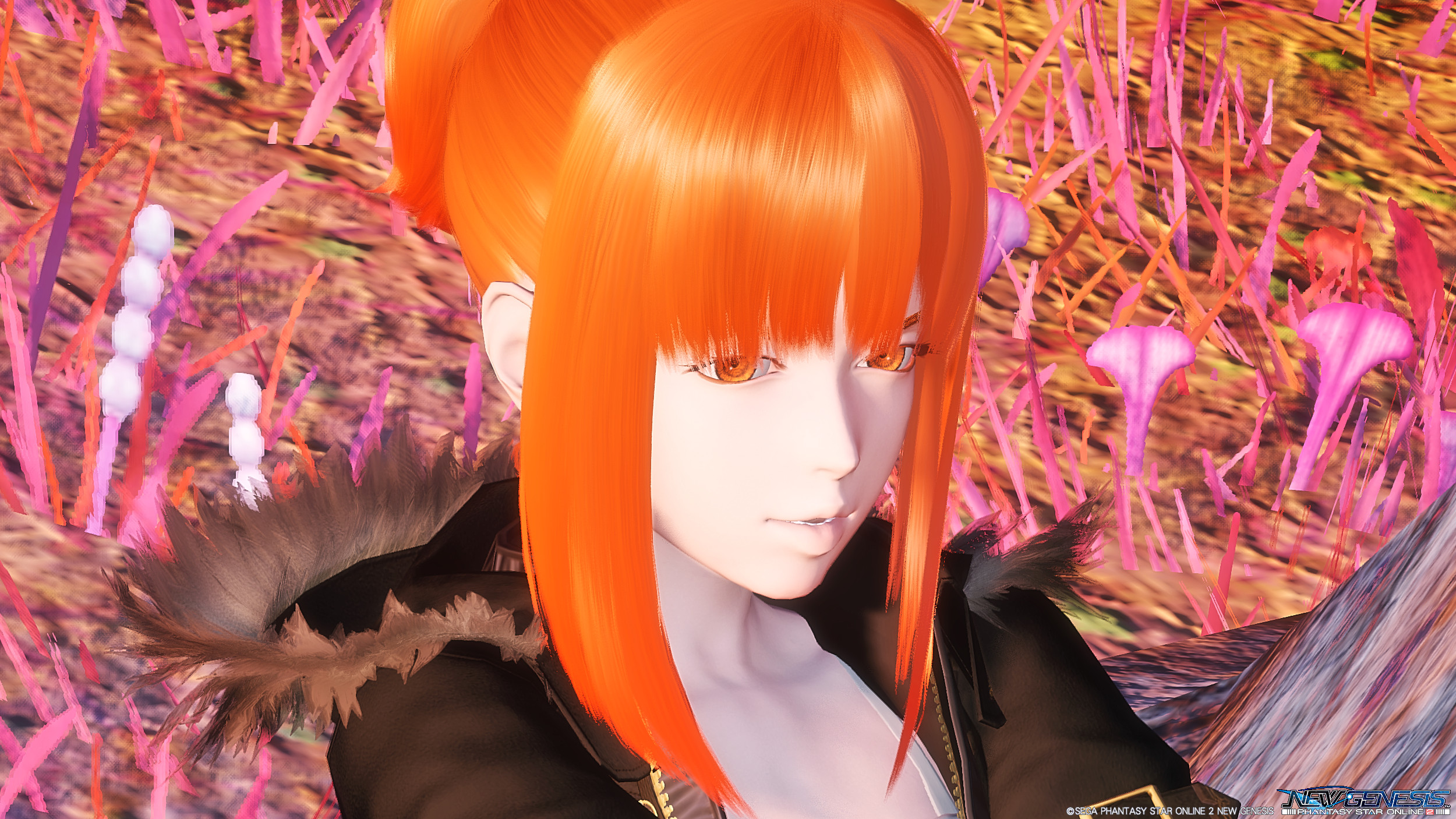 3月 | 2023 | ほえほえPSO